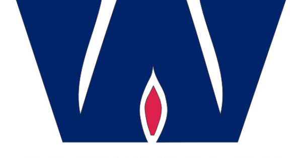 Static Caravan Gas Fire | Widney LPG Gas Fires for Static Caravans